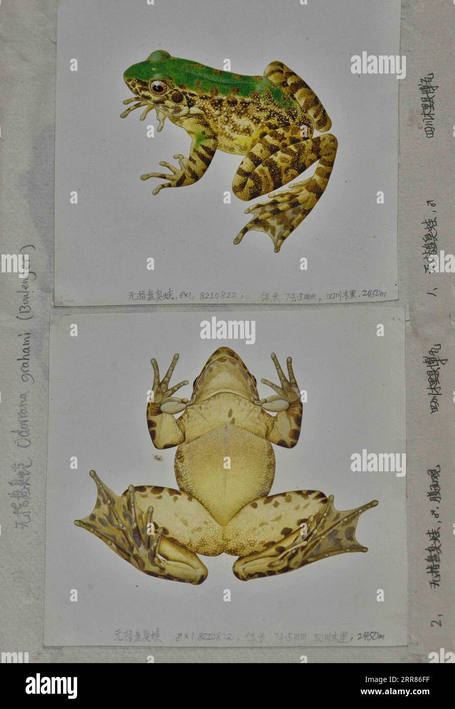 210421 -- CHENGDU, April 21, 2021 -- Photo taken on April 14, 2021 ...