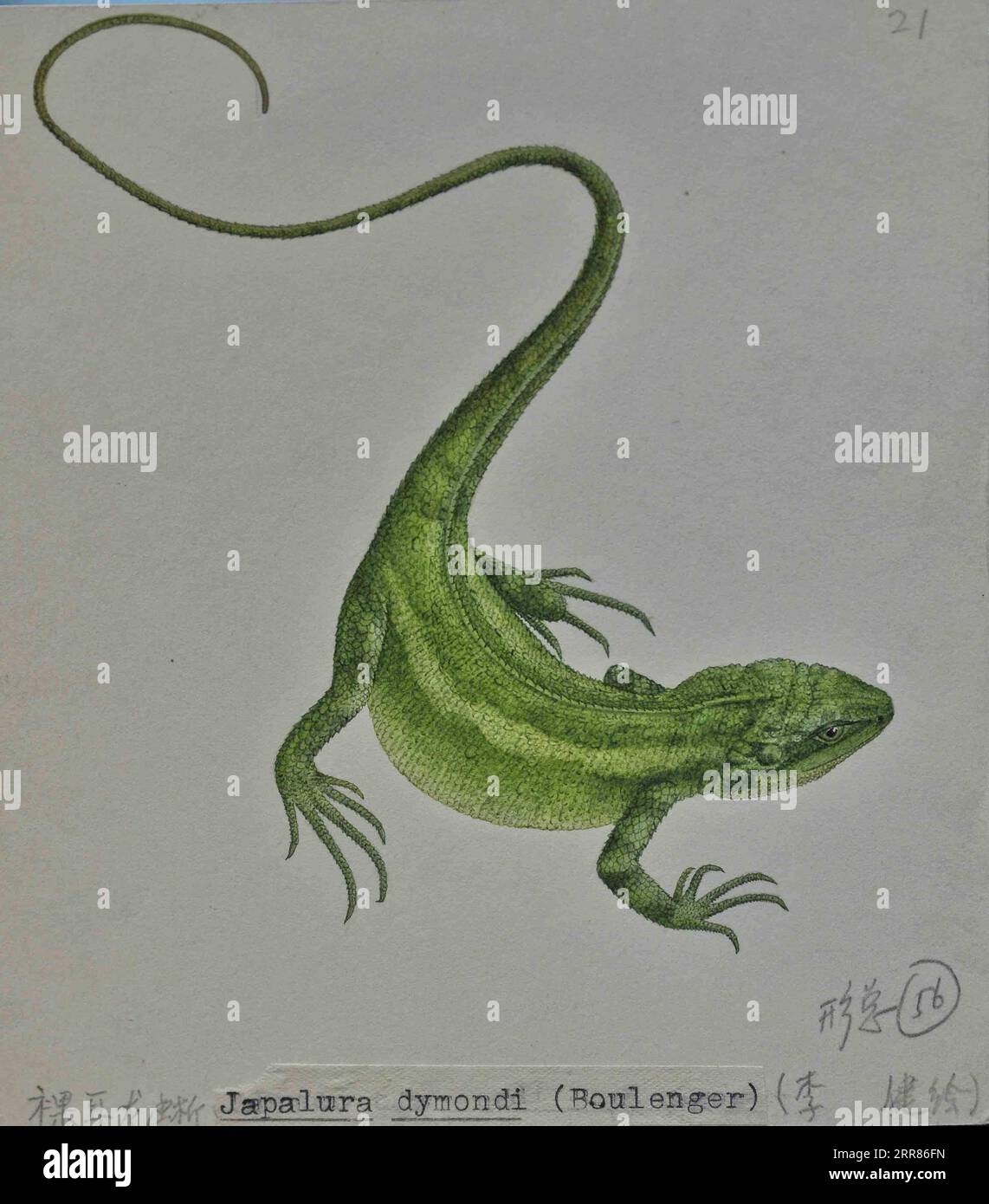 210421 -- CHENGDU, April 21, 2021 -- Photo taken on April 14, 2021 ...