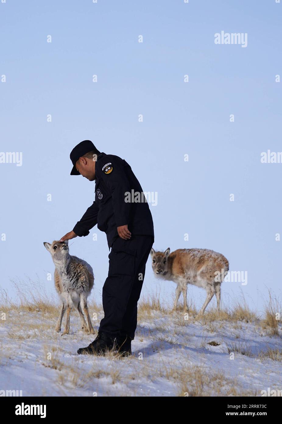 Xining population hi-res stock photography and images - Alamy