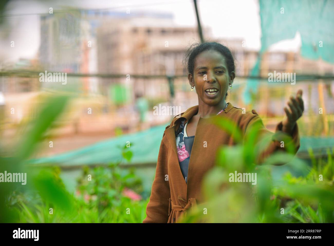 Commercial building addis ababa ethiopia hi-res stock photography and ...