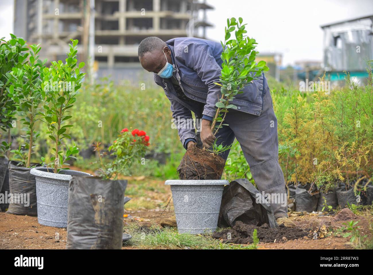Commercial building addis ababa ethiopia hi-res stock photography and ...