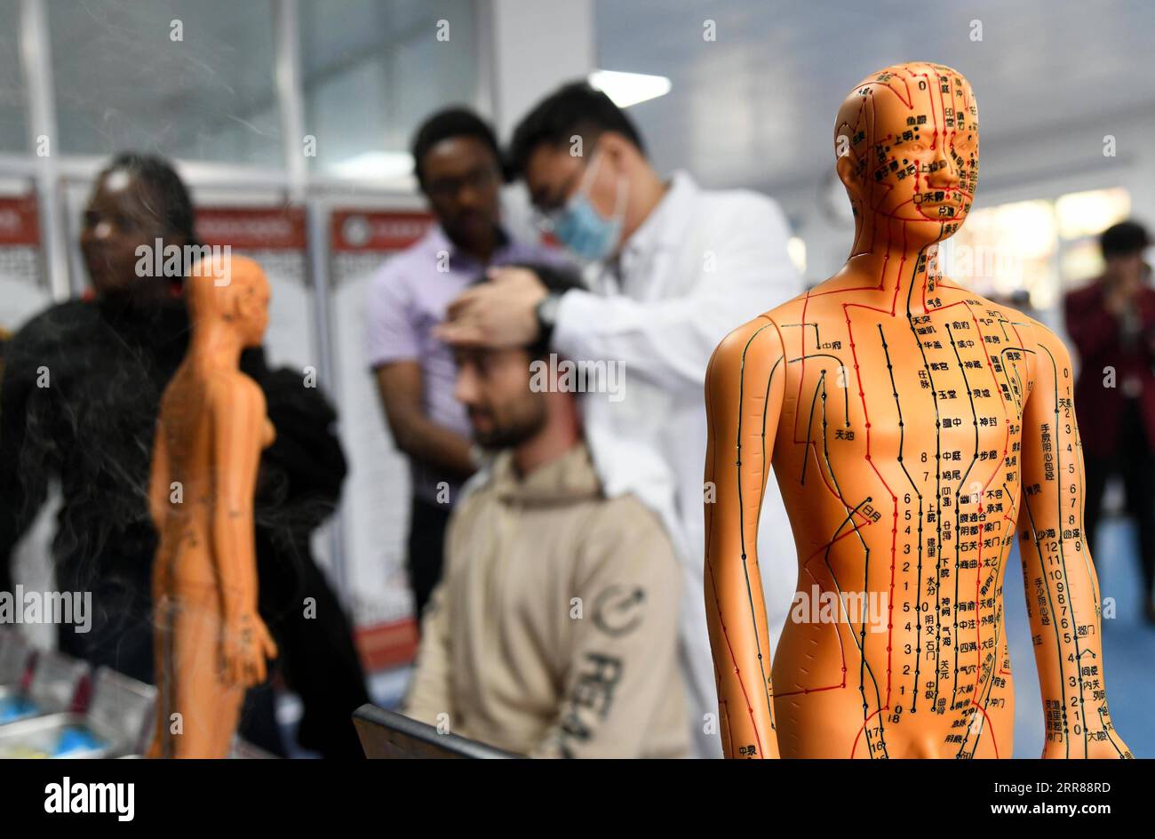 Chinese acupuncture student hi-res stock photography and images - Alamy