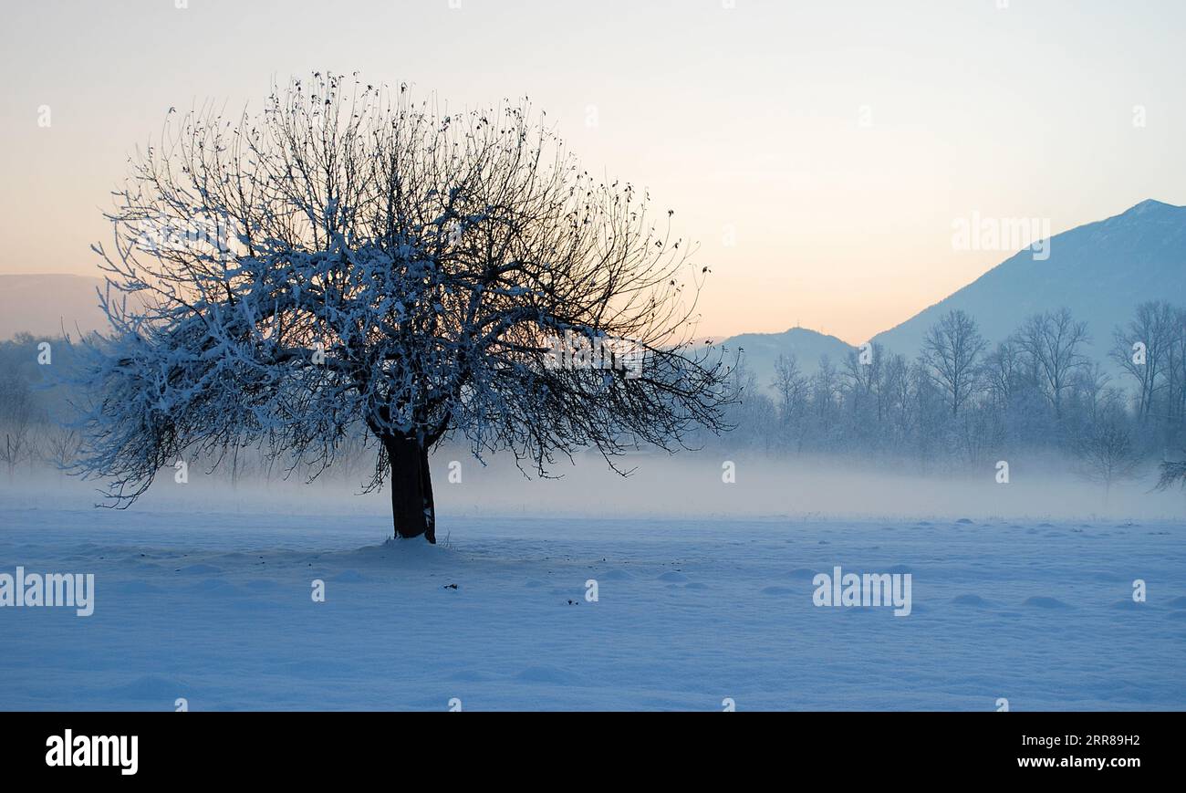 Solstice sun austria hi-res stock photography and images - Alamy