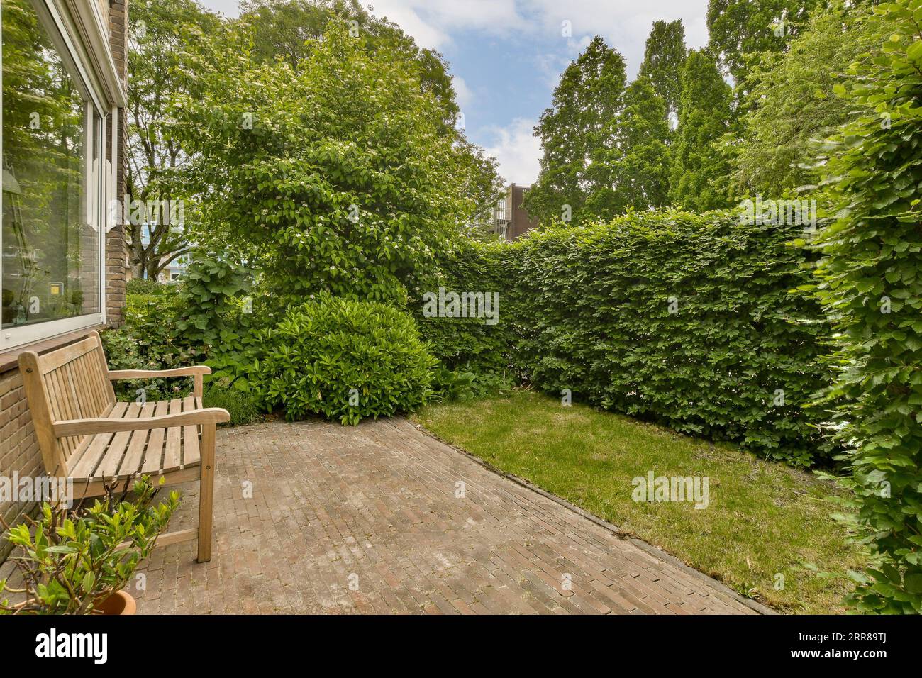 Elm tree walk hi-res stock photography and images - Alamy
