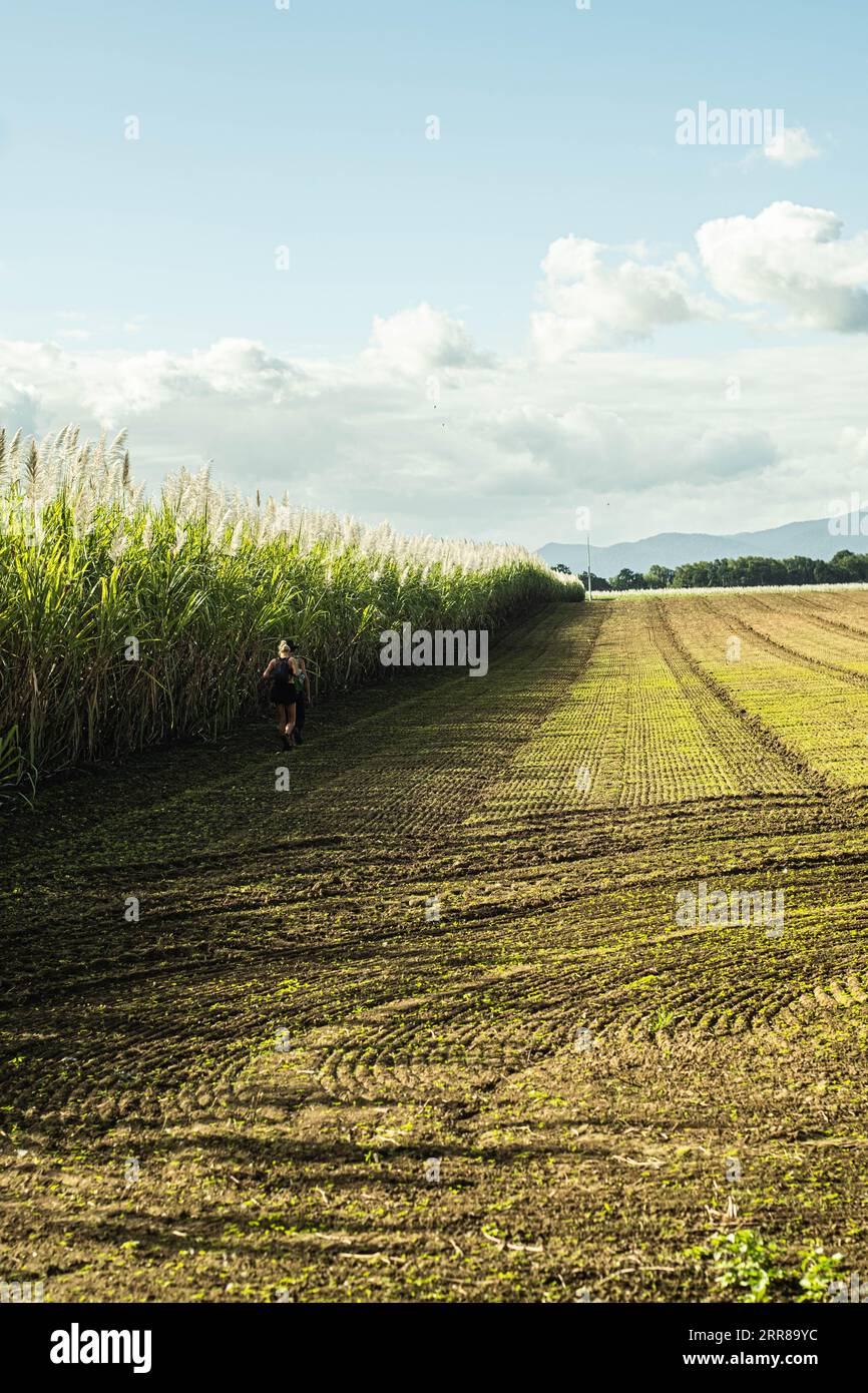 Two people walking on a grassy field in the countryside Stock Photo - Alamy