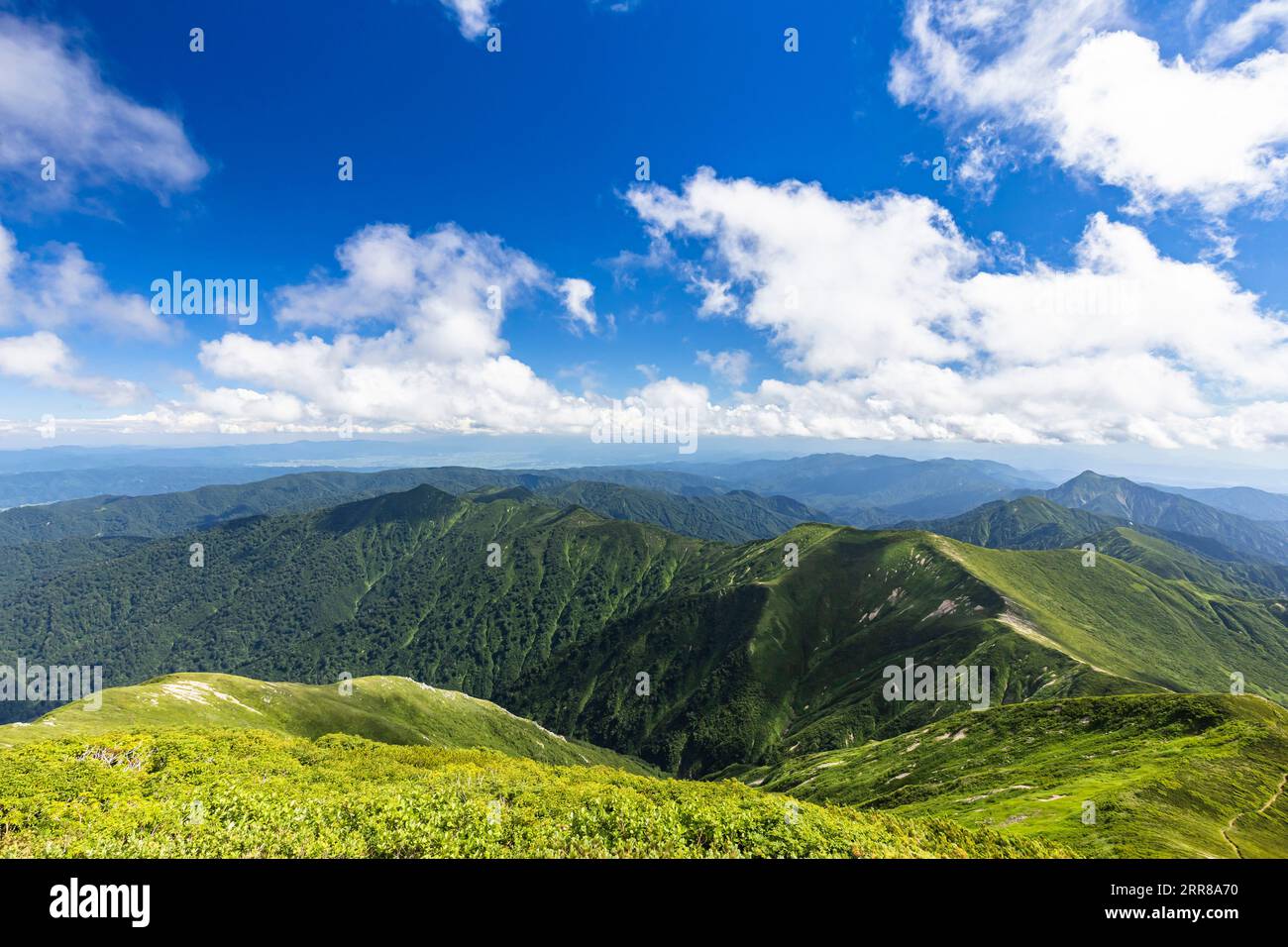 Ohasahi hi-res stock photography and images - Alamy
