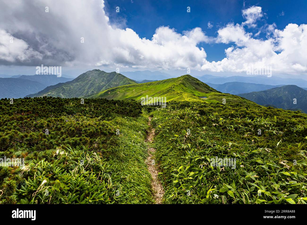 Sagamiyama hi-res stock photography and images - Alamy