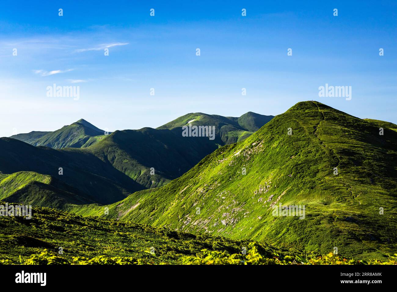 Asahi Mountain Range, left back pinnacle is highest Mt.Ohasahi ...