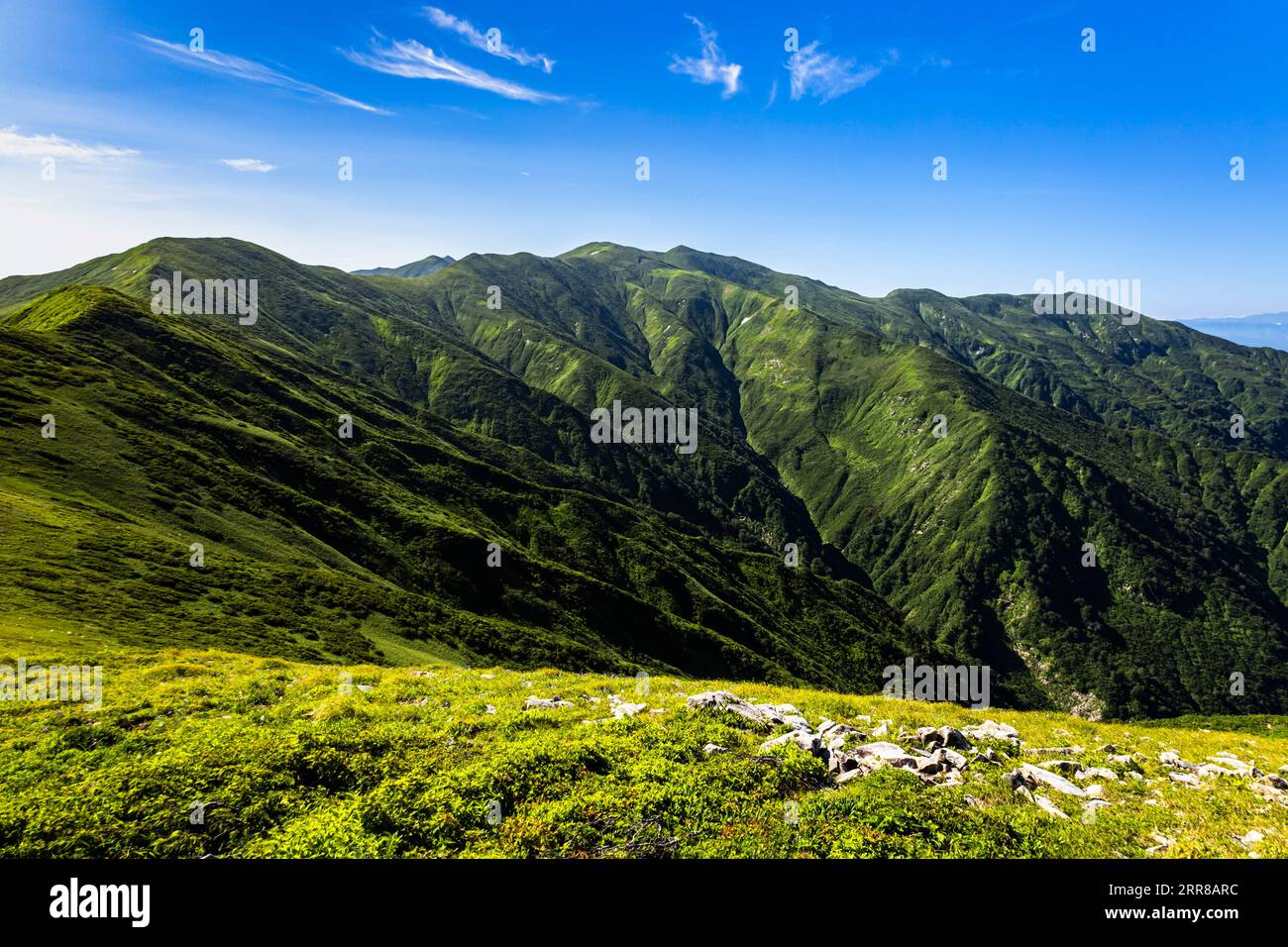 Asahi Mountain Range trekking, main range, highest Mt.Ohasahi(most back ...
