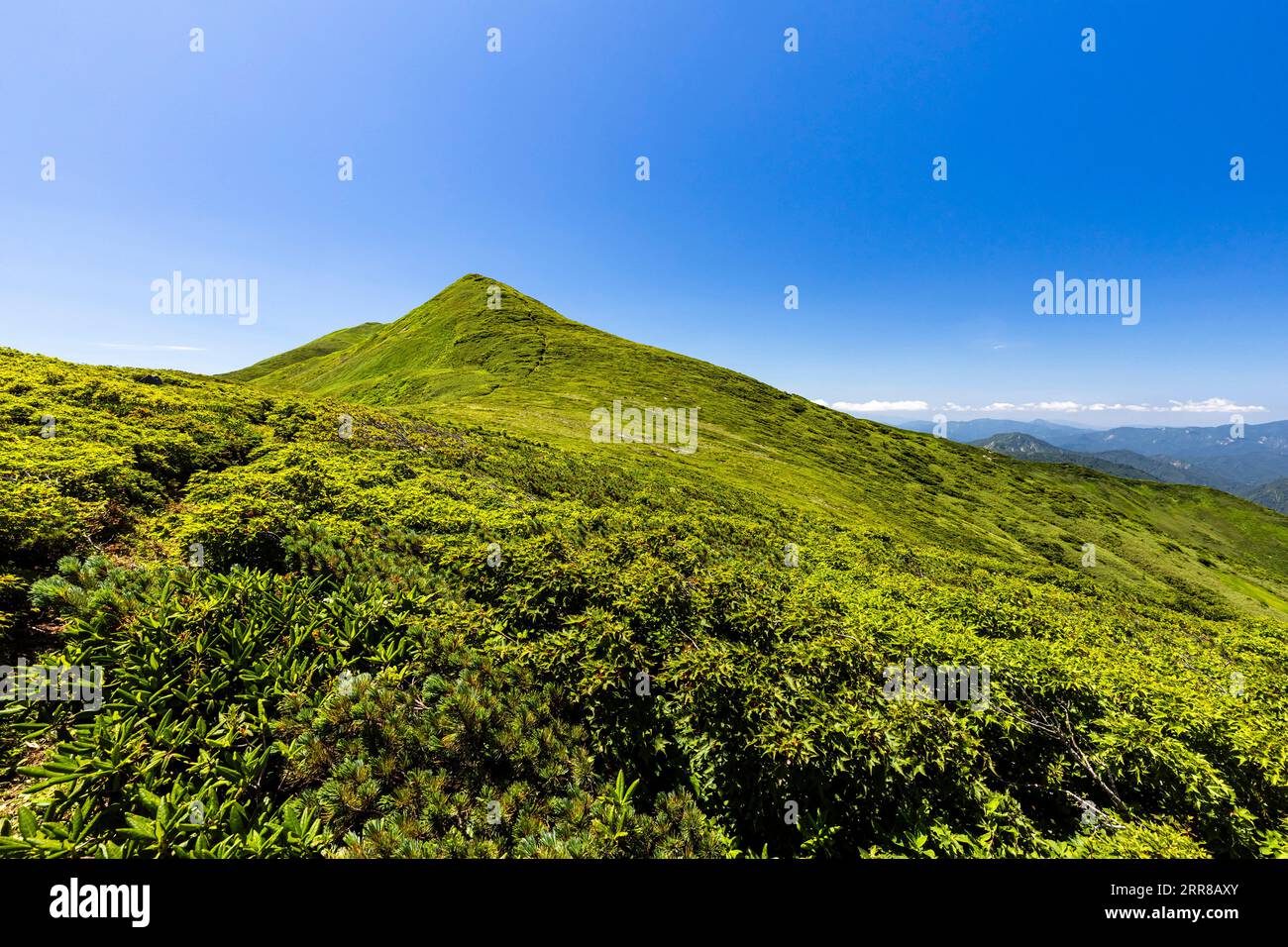 Asahi Mountain Range, back left peak is Mt.Nishiasahidake, from ...