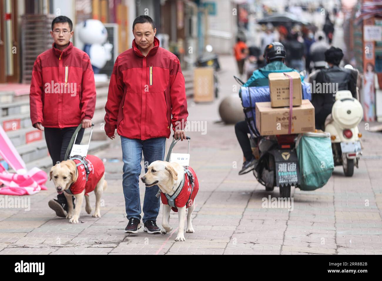 Halfyear hi-res stock photography and images - Alamy