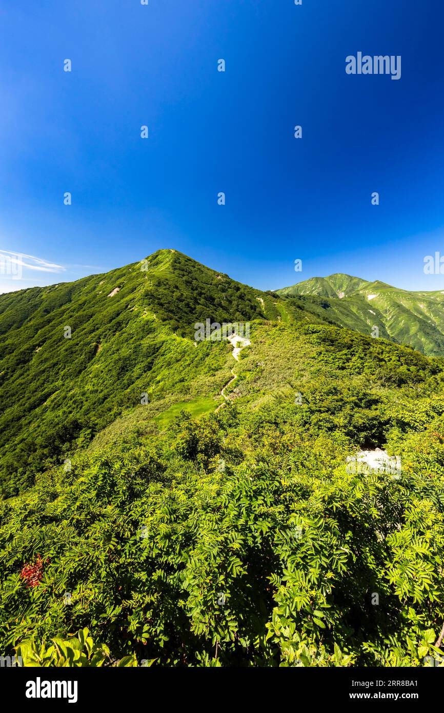 Asahi Mountain Range, highest Mt.Ohasahidake(back), Mt.Koasahidake(fore ...