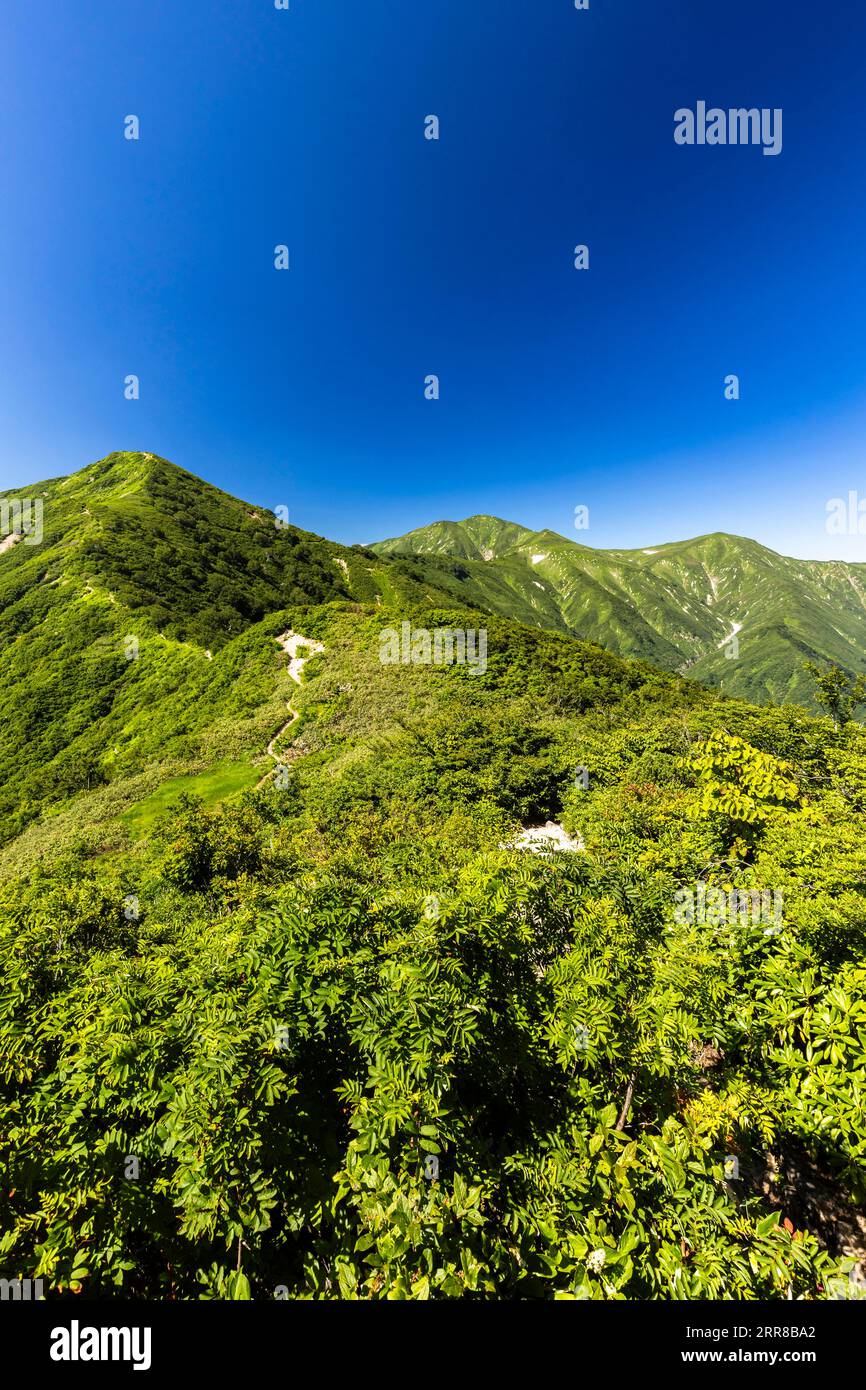 Asahi Mountain Range, highest Mt.Ohasahidake(back), Mt.Koasahidake(fore ...