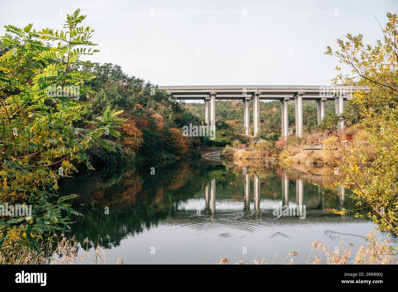 Gijang Sara Waterside Park autumn scenery in Busan, Korea Stock Photo ...