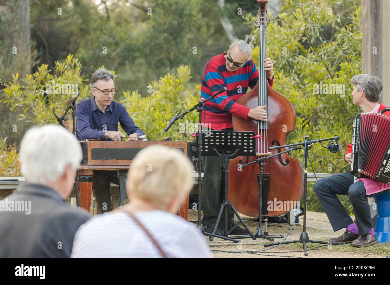 Different types of rats hi-res stock photography and images - Alamy