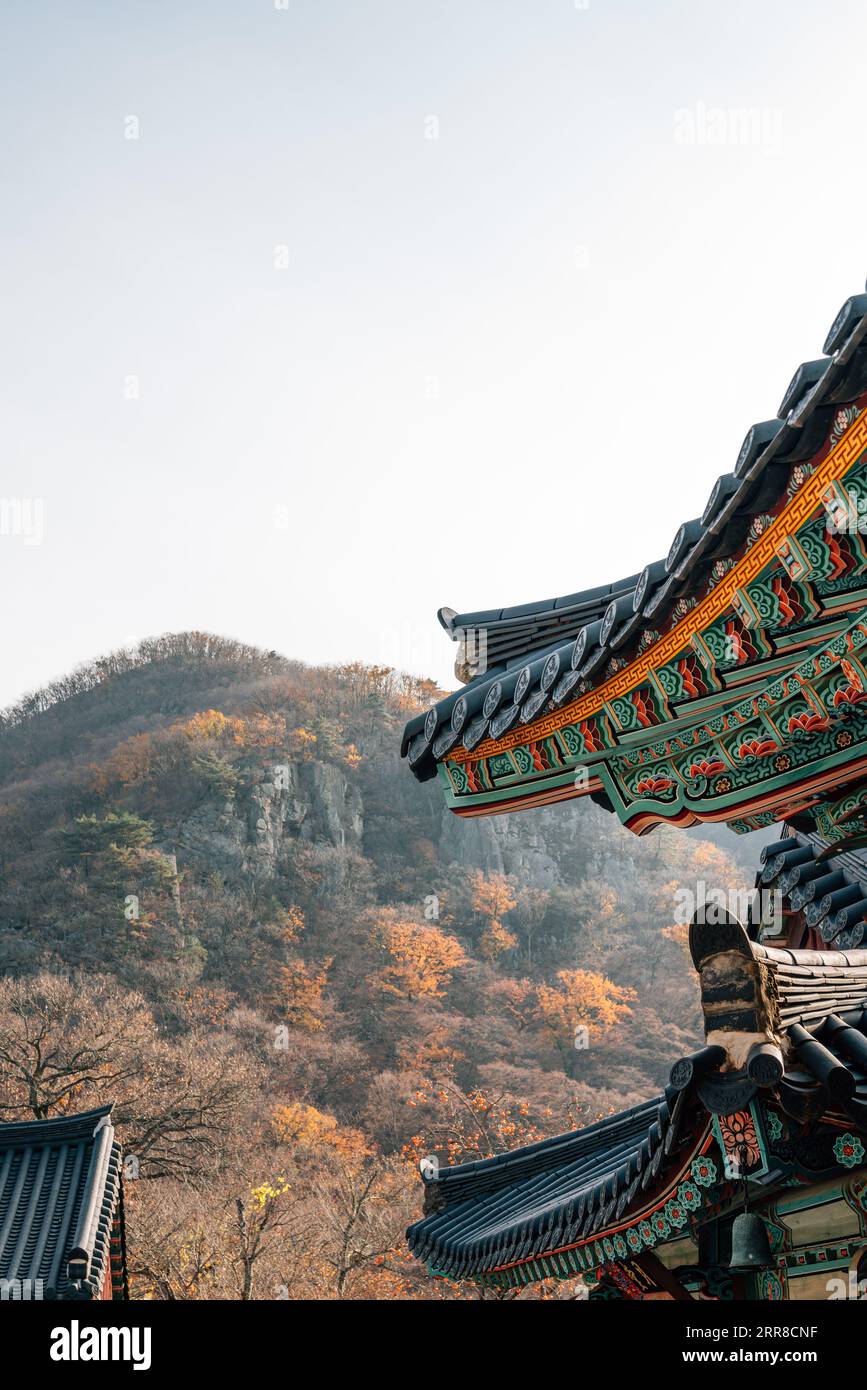Gijang Jangansa Temple autumn scenery in Busan, Korea Stock Photo - Alamy