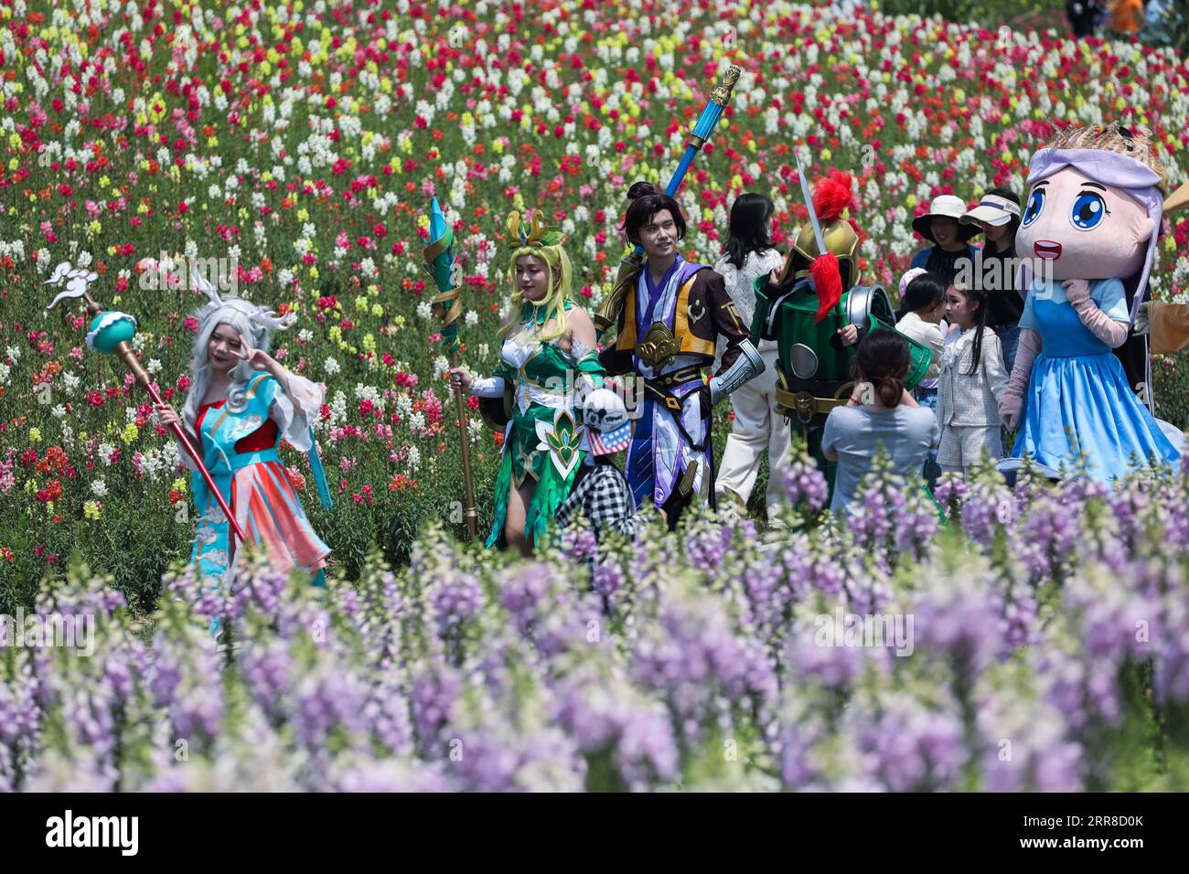 210502 -- HANGZHOU, May 2, 2021 -- Cosplayers parade in the flower ...
