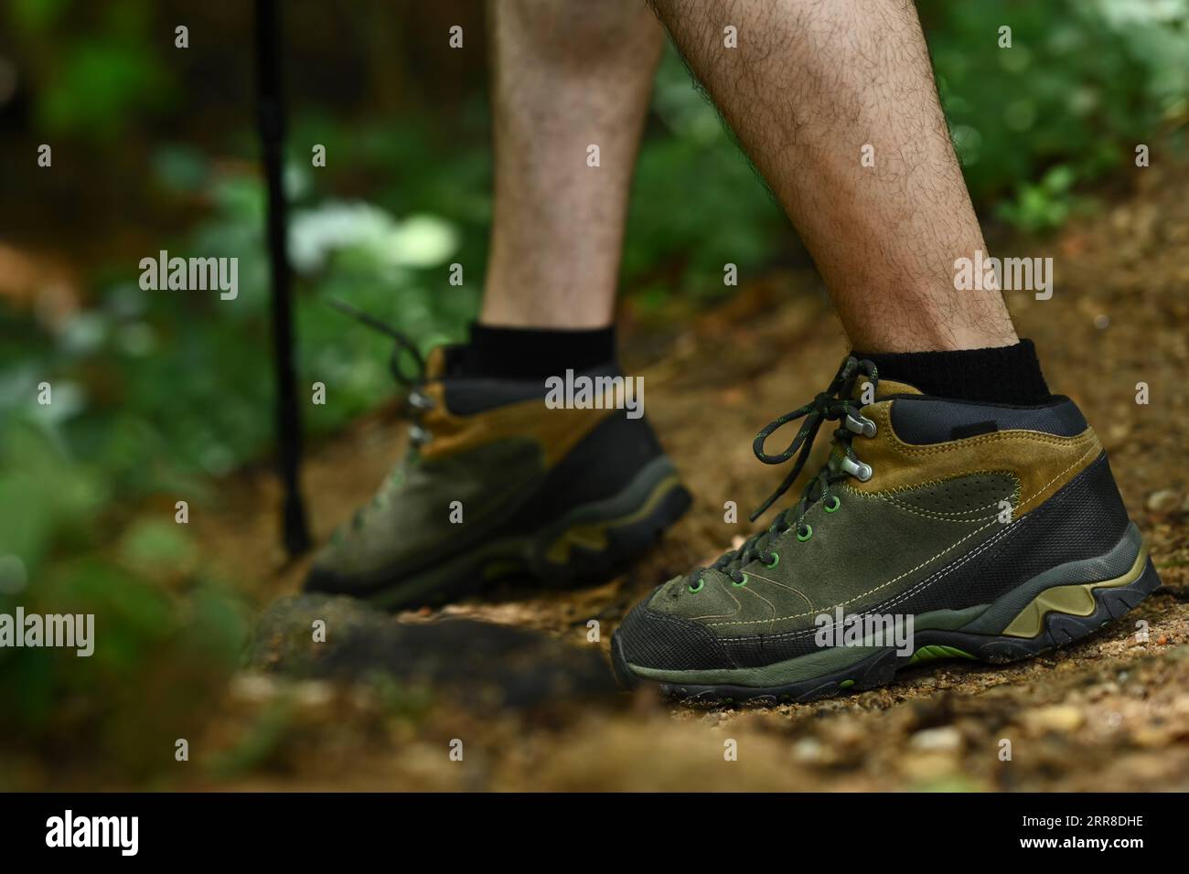 Male legs with hiker boots walking along the forest path. Traveling and ...