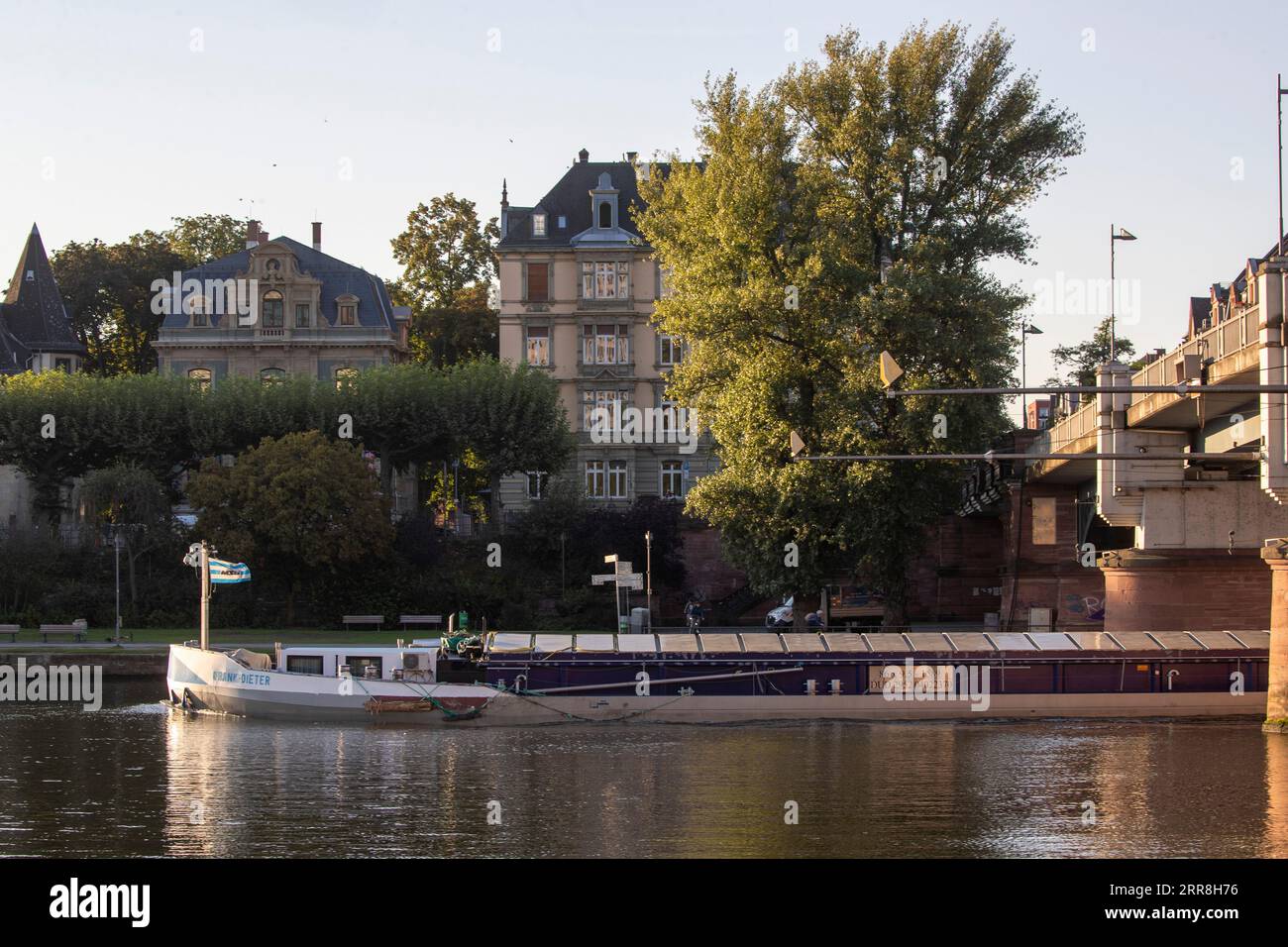 07 September 2023, Hesse, Frankfurt/Main: The Main River at sunrise ...