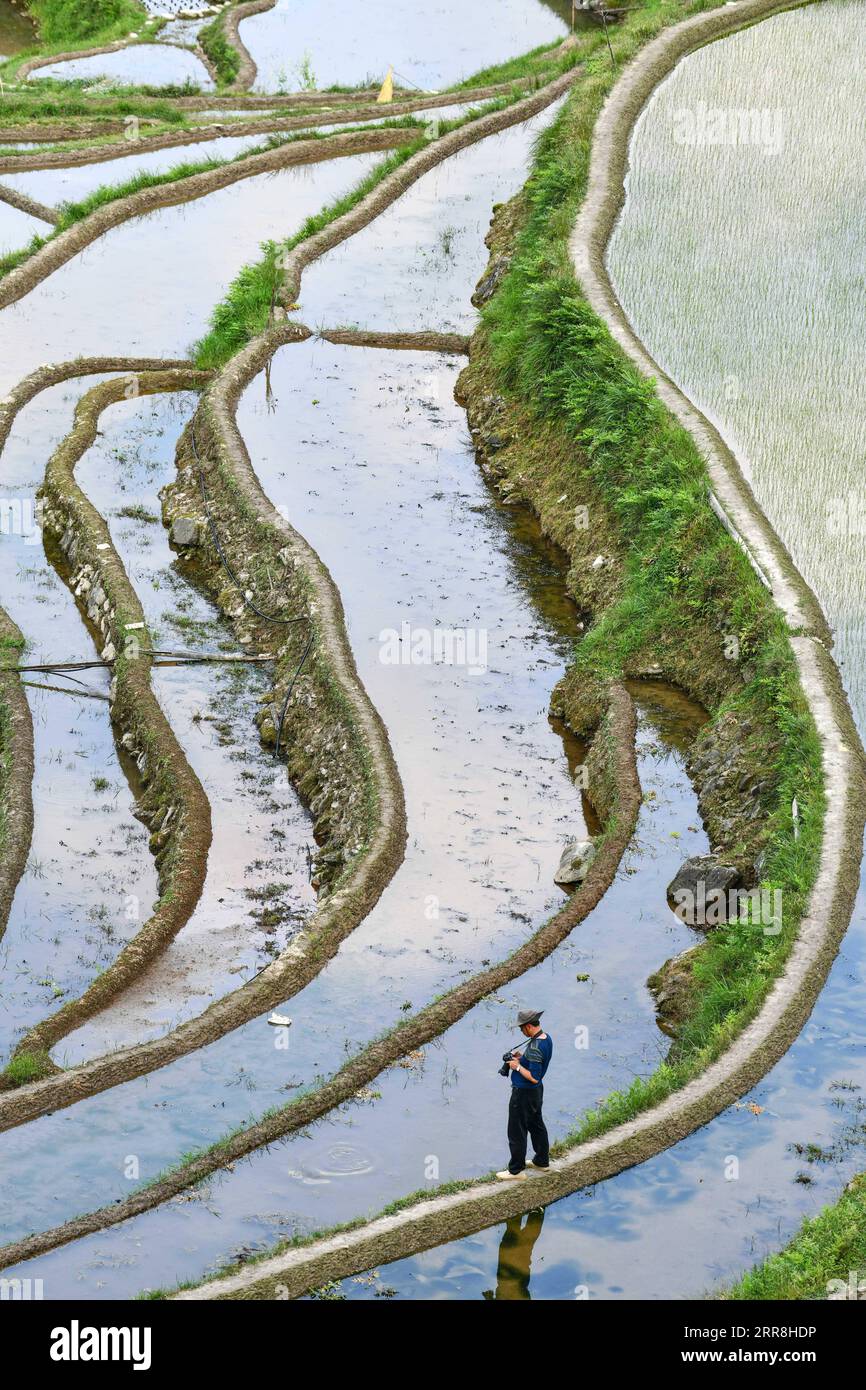 China agricultural old pictures hi-res stock photography and images - Alamy