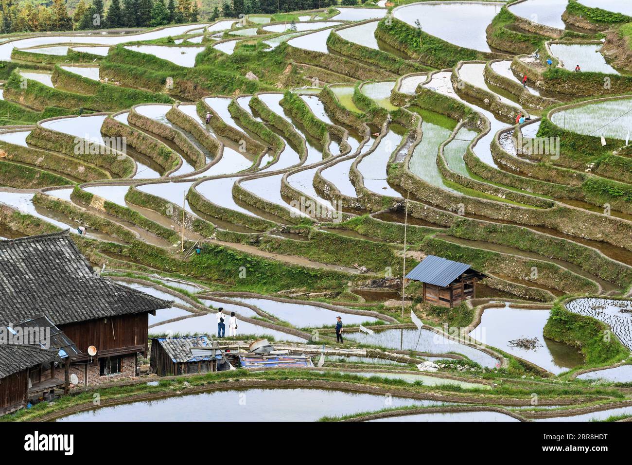 China agricultural old pictures hi-res stock photography and images - Alamy