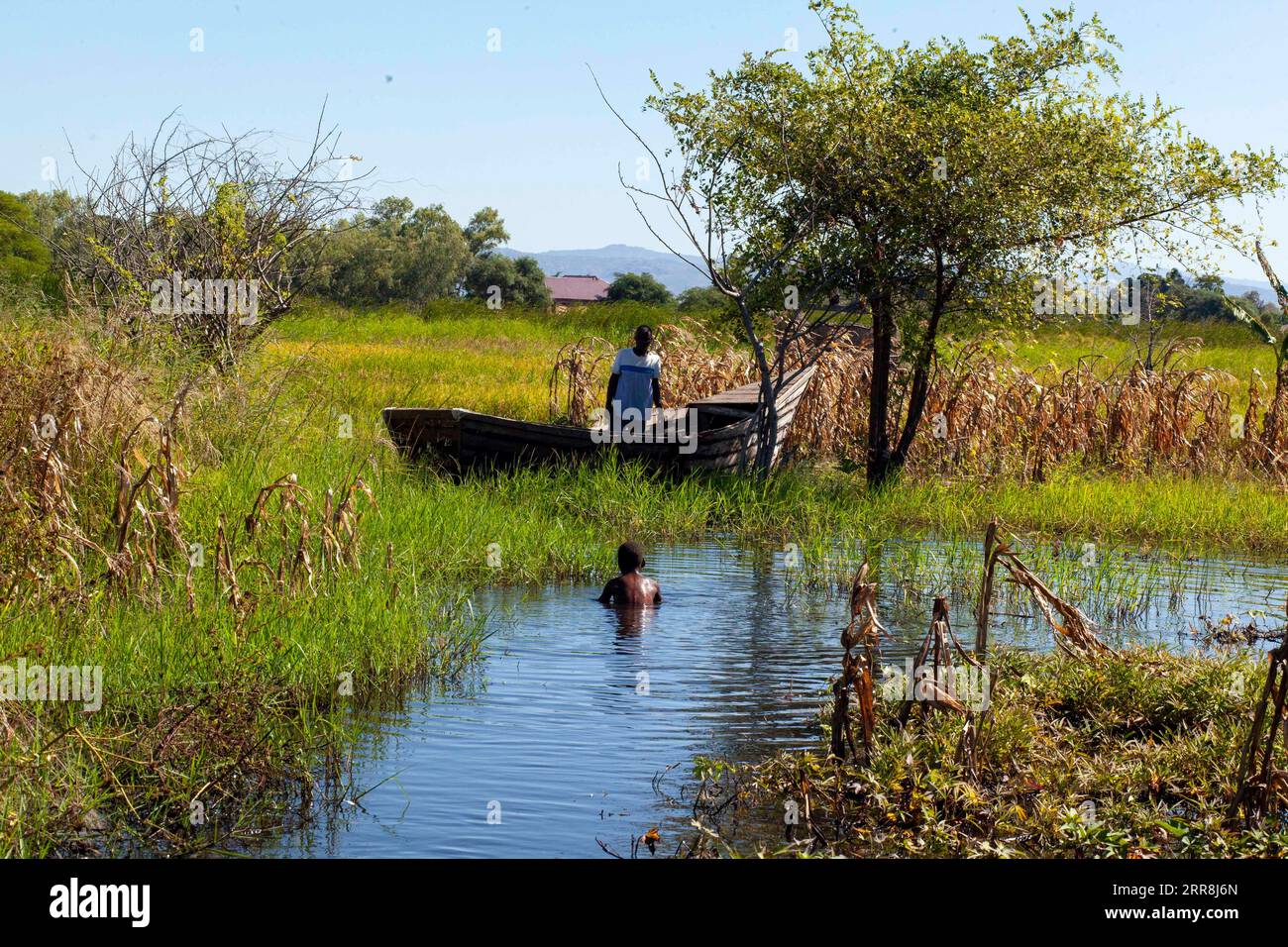 Mangochi fish hi-res stock photography and images - Alamy