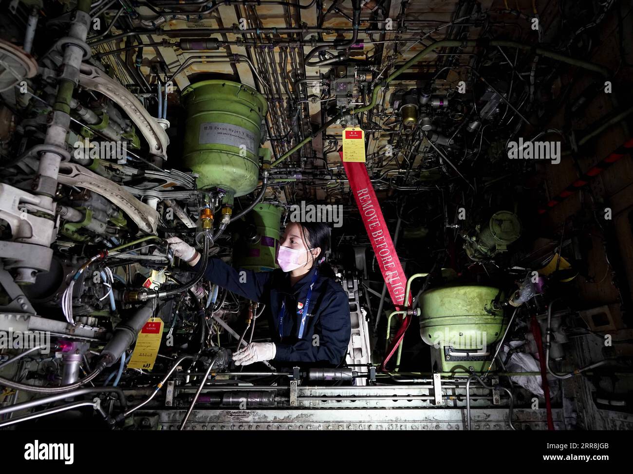 Workforce maturation hi-res stock photography and images - Alamy