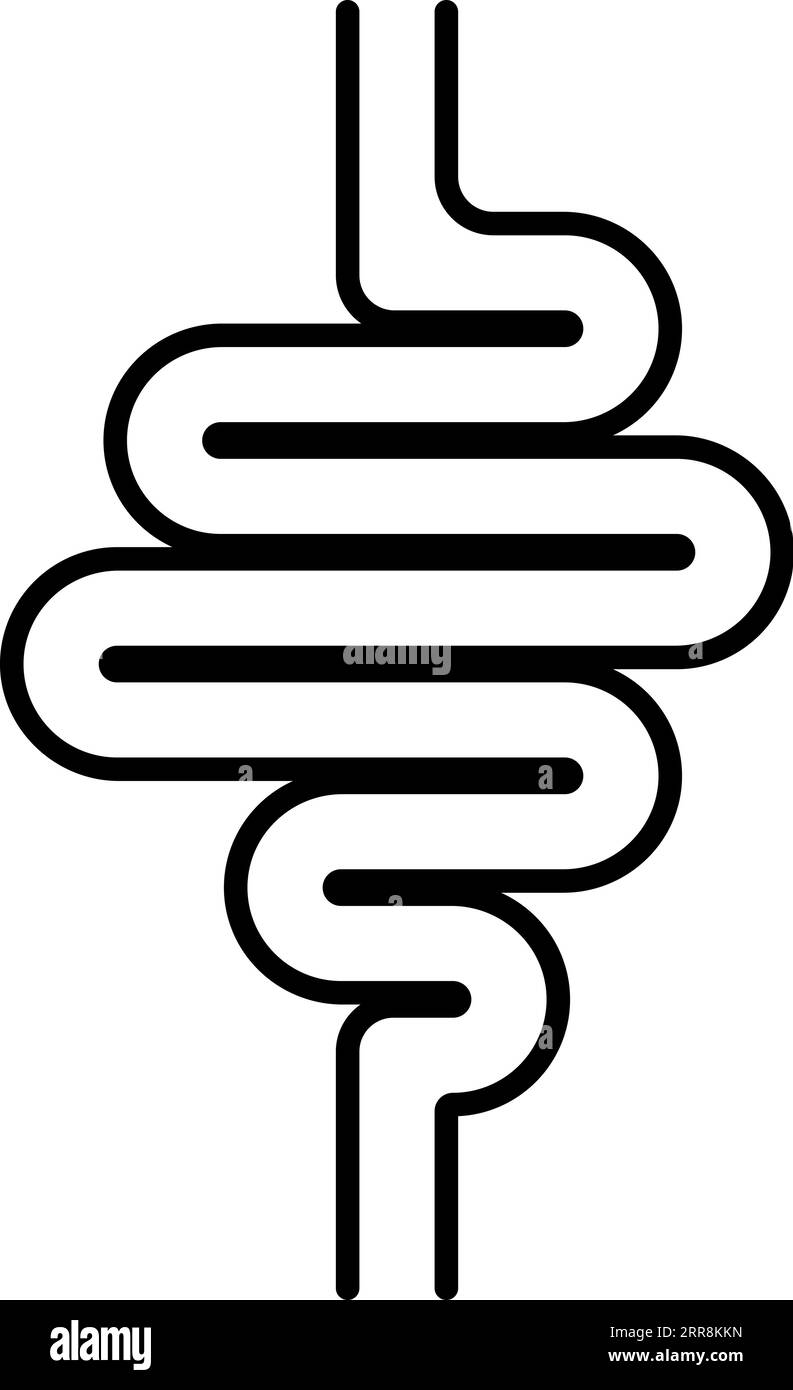 Human digestive system Black and White Stock Photos & Images - Alamy