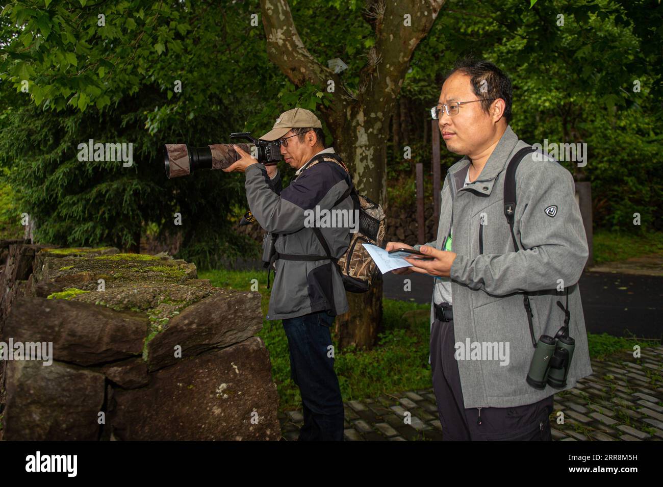 Odiversity hi-res stock photography and images - Alamy