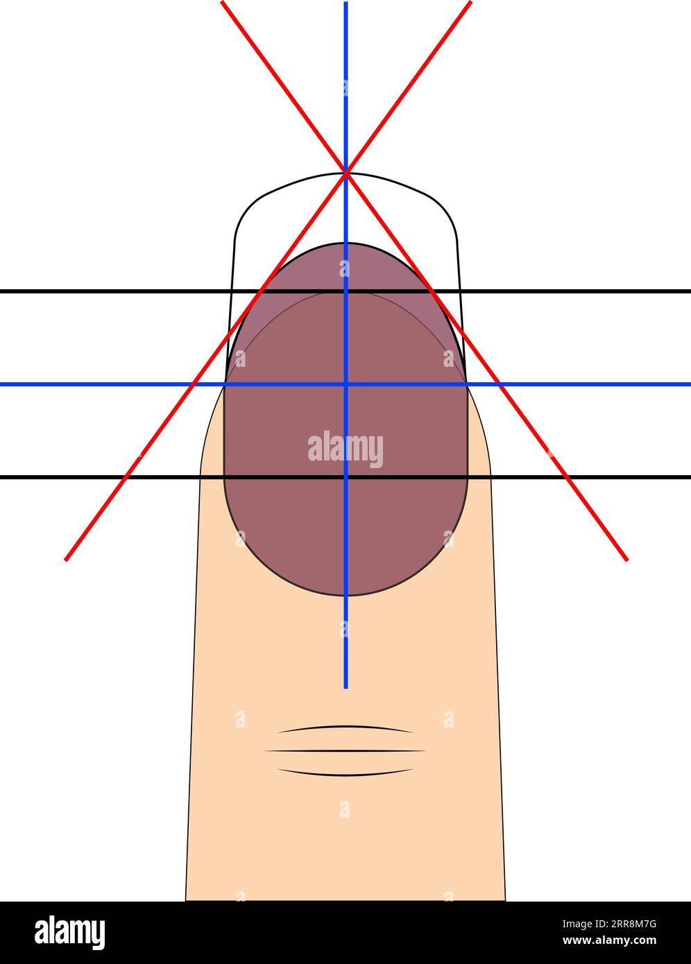 Drawing diagram template to create fashionable nail shape manicure ...