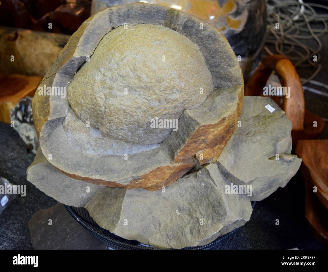 Prehistoric fossil egg hi-res stock photography and images - Alamy