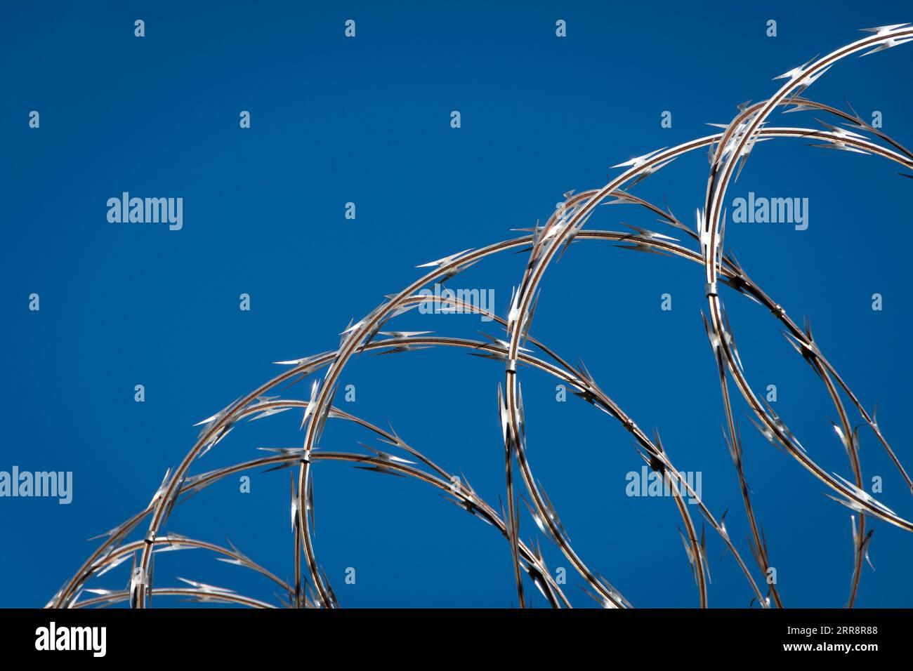 Razor wire fence wall hi-res stock photography and images - Alamy