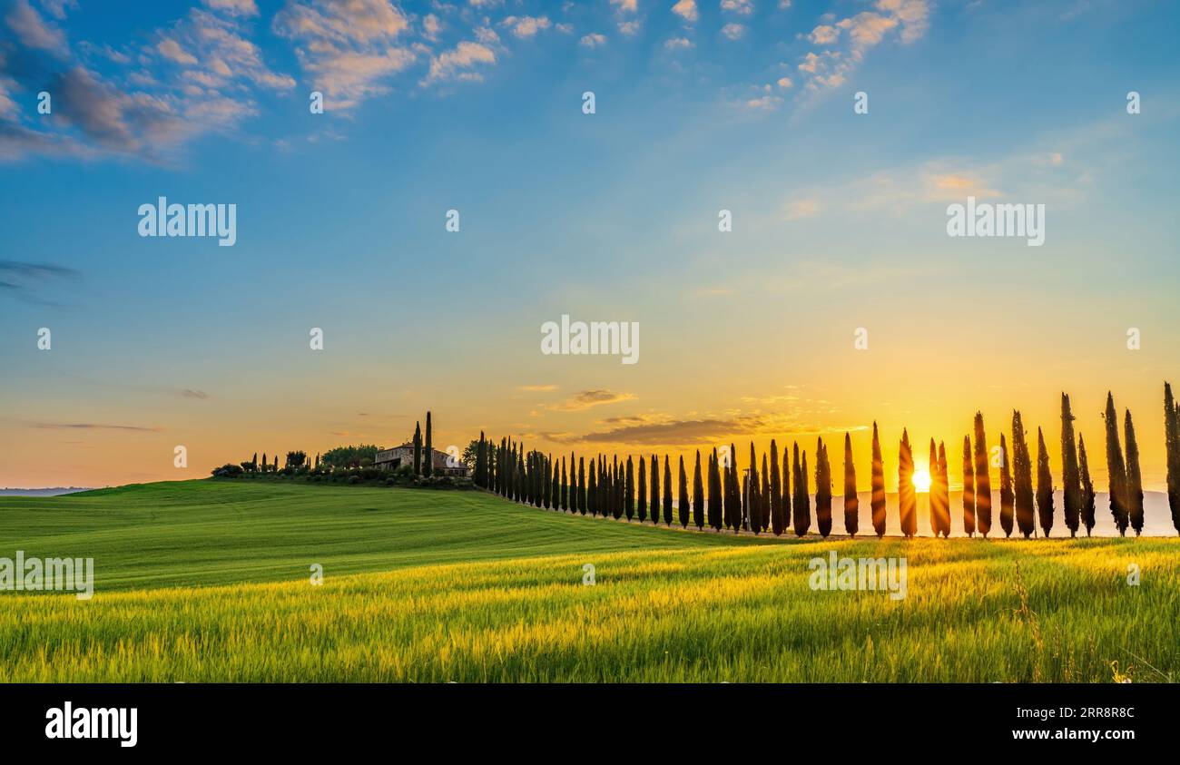 Path to hill house through cypress trees and sunrise view of stunning ...