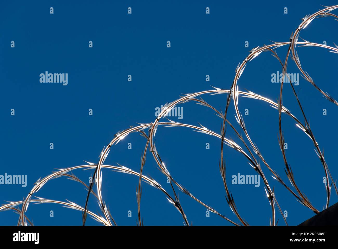 Razor wire fence wall hi-res stock photography and images - Alamy
