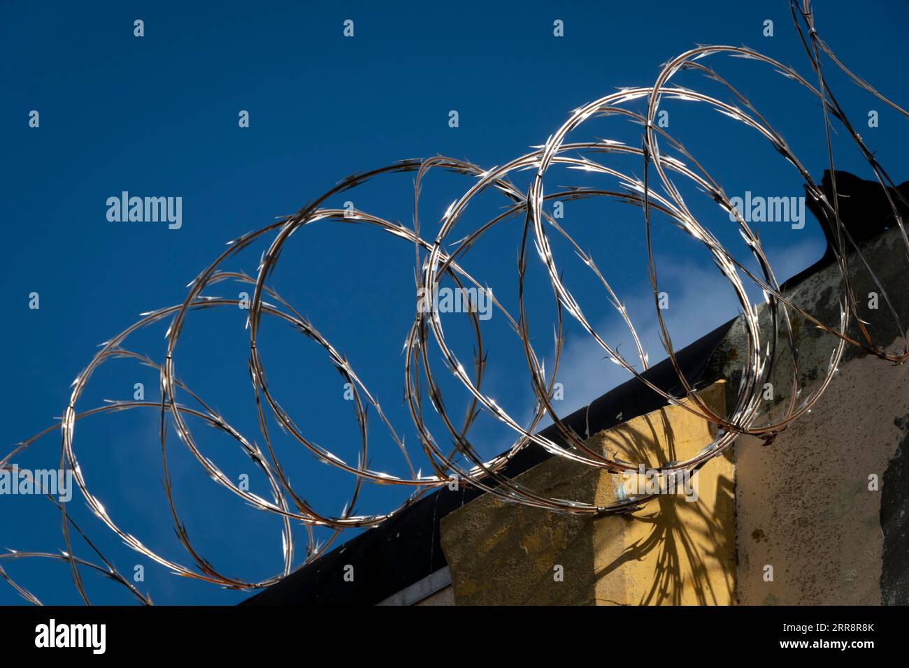 Coiled razor wire on top of prison wall, Mount Crawford, Wellington ...