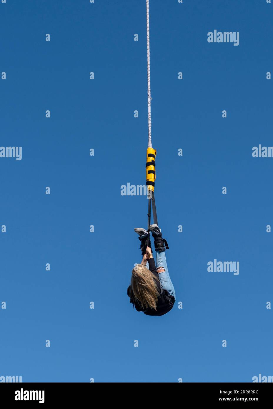 Back rear view of bungy jumper woman, The Hague, Holland Stock Photo ...