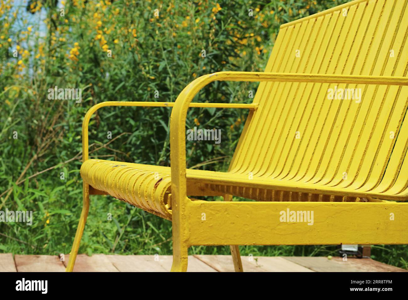 Vivid Yellow Wrought Iron Bench in the Garden Stock Photo - Alamy