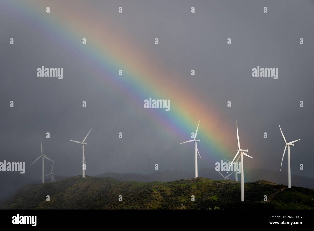 Vector new zealand electric hi-res stock photography and images - Alamy