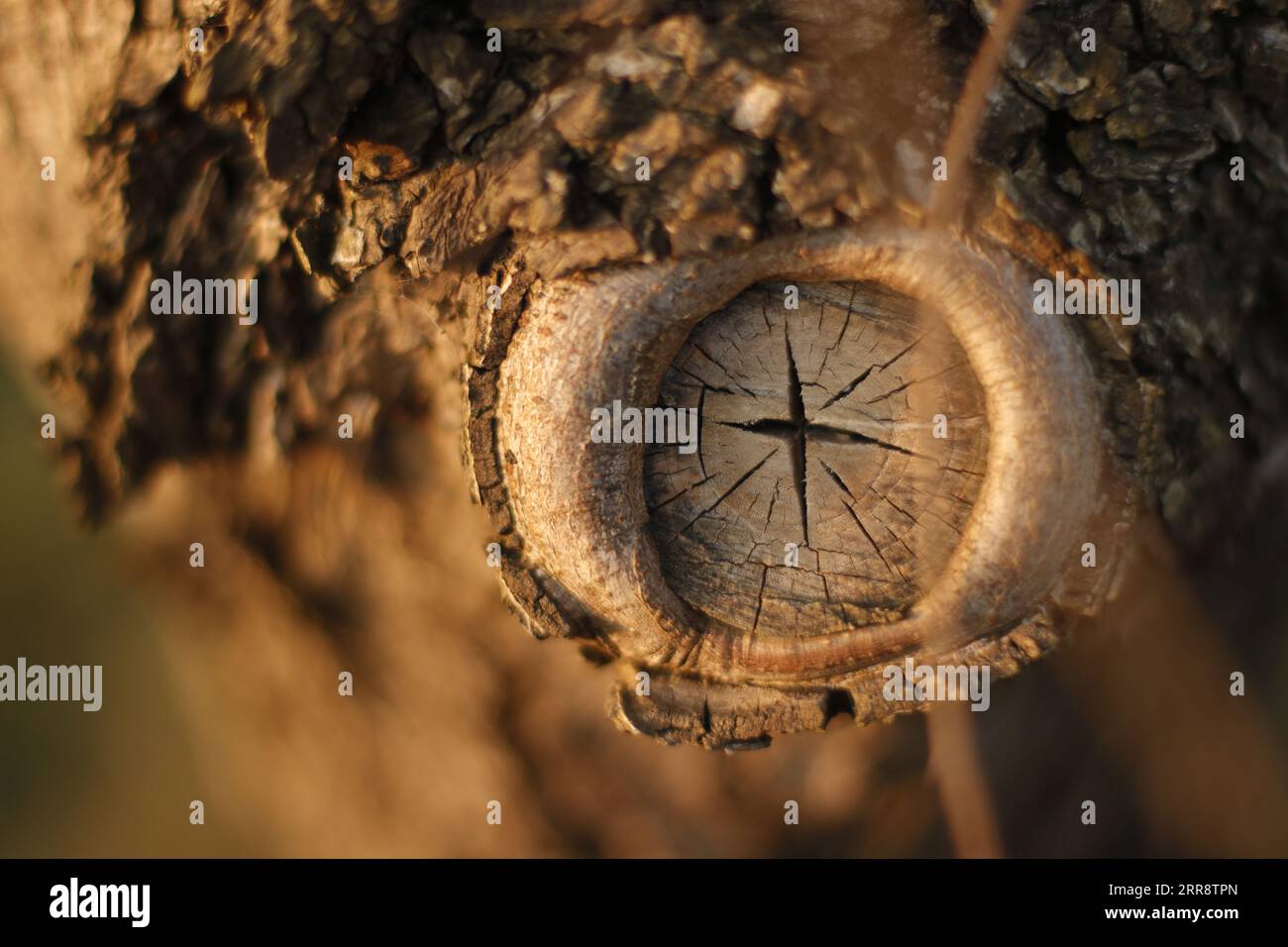 Dark eyes pattern hi-res stock photography and images - Alamy