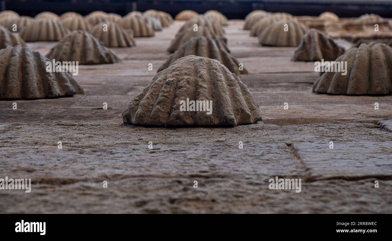 Conch style architecture hi-res stock photography and images - Alamy