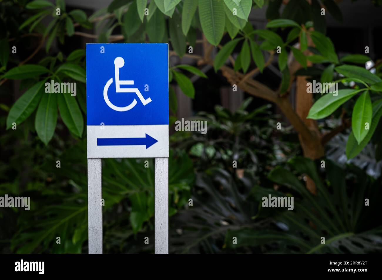 Disabled parking sign at city park Stock Photo - Alamy