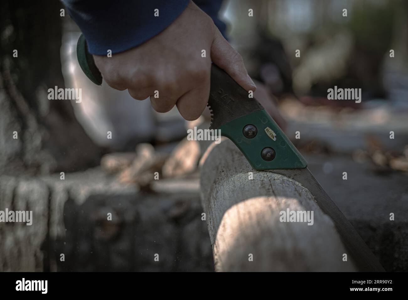Male wood cutter hi-res stock photography and images - Alamy