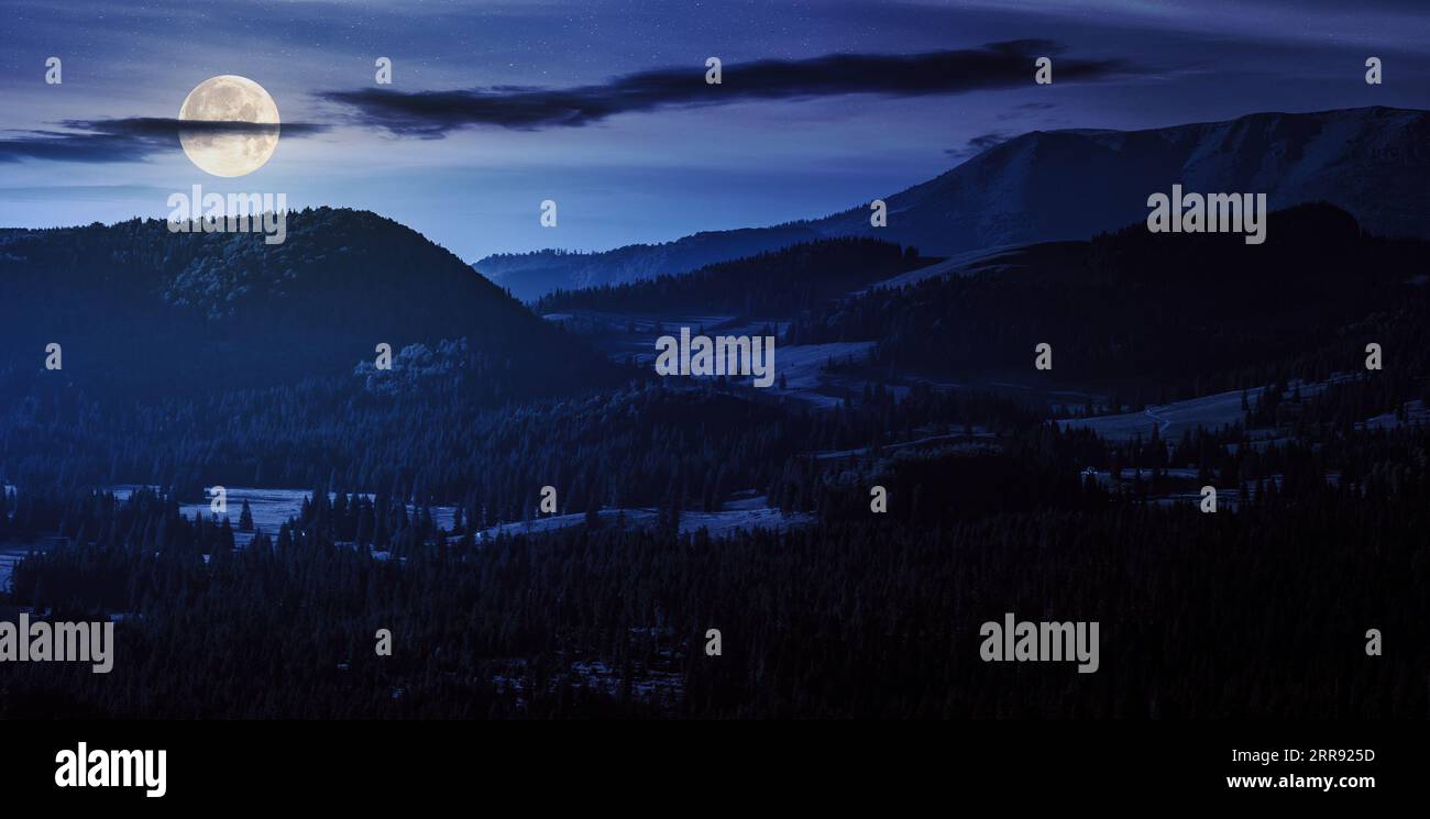 fir trees in the valley of apuseni mountain range of romania at night ...