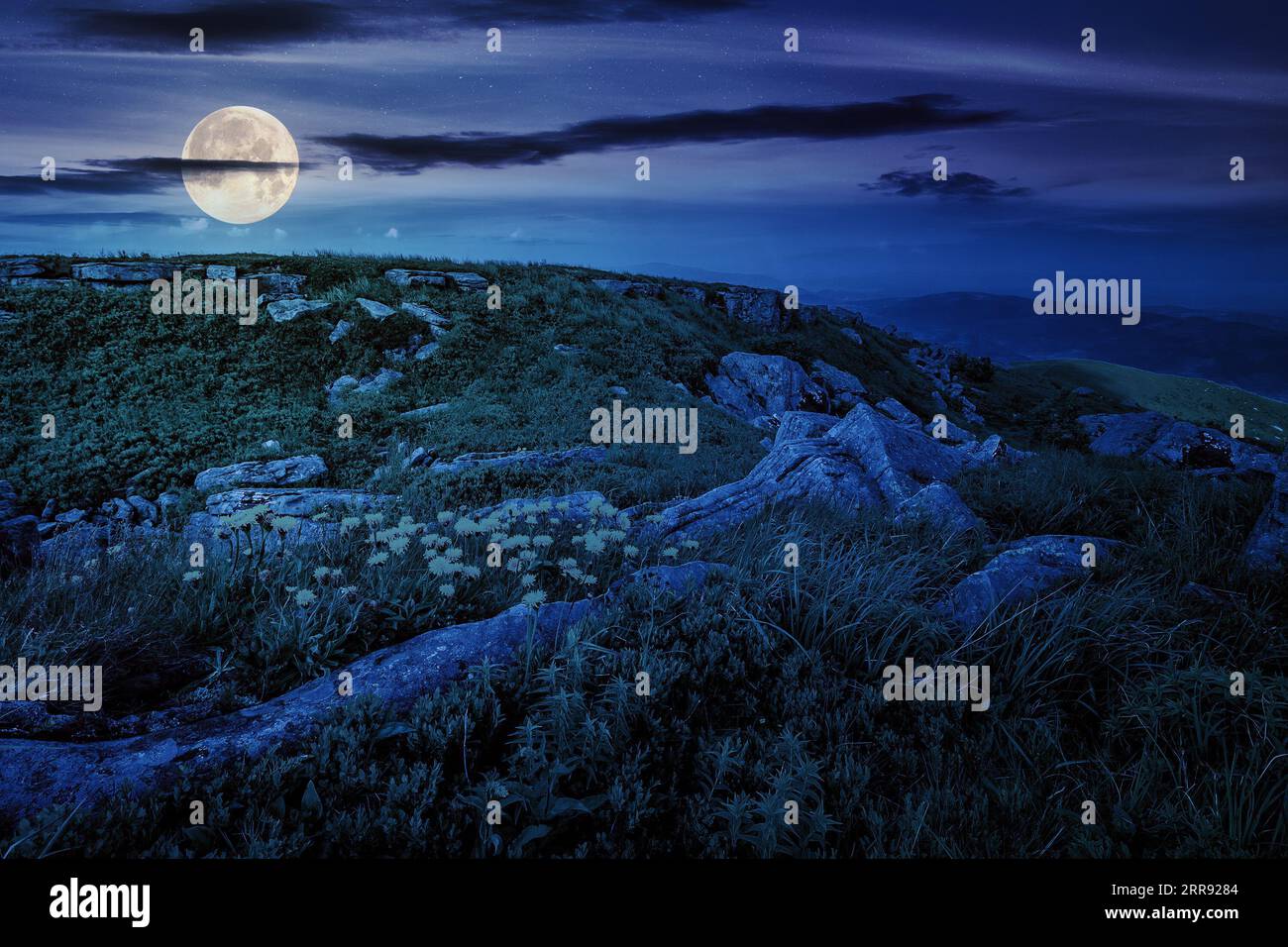 dandelions in the grass among the huge boulders on hillside at night ...