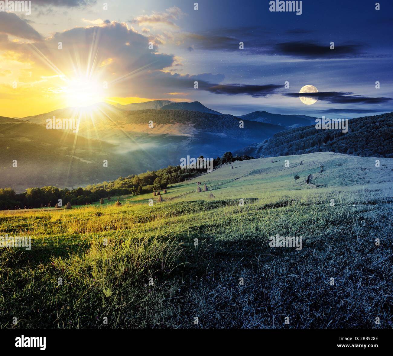 haystacks on the agricultural field near the forest at the foot of the ...