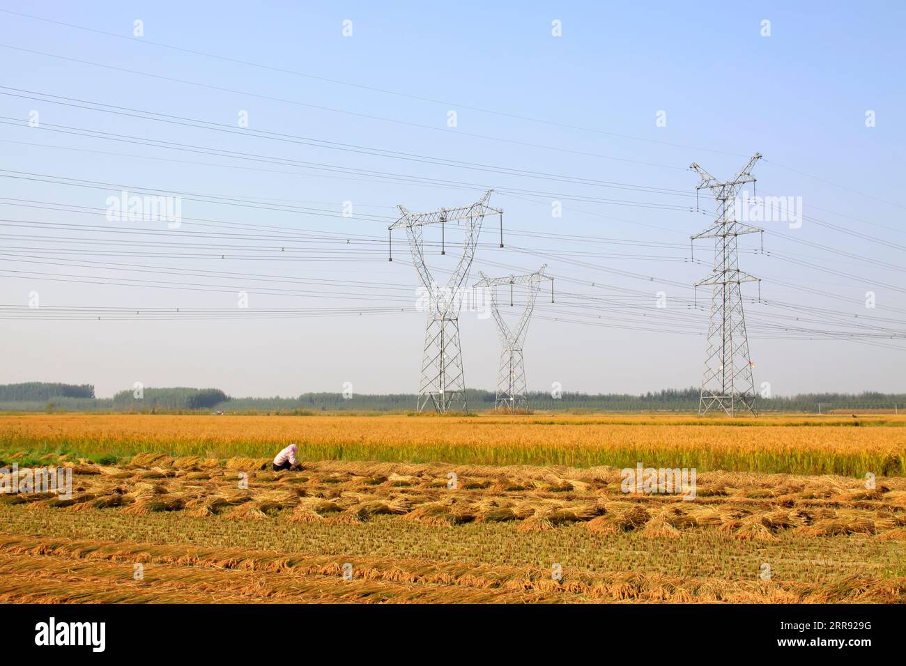 Farmer tower hi-res stock photography and images - Alamy