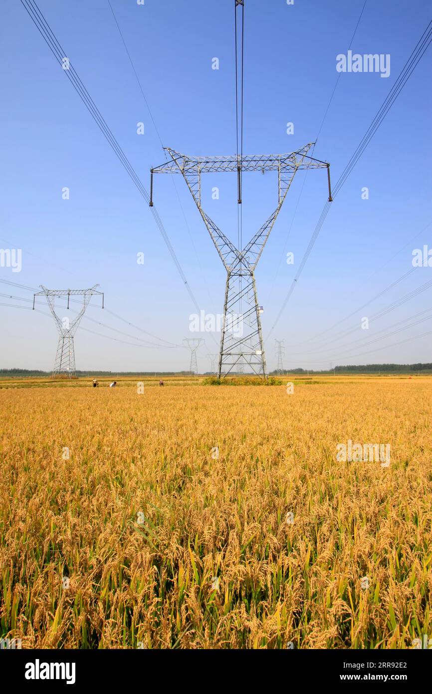 Rice tower hi-res stock photography and images - Alamy
