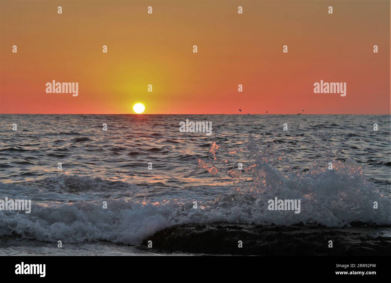 210524 hi-res stock photography and images - Alamy