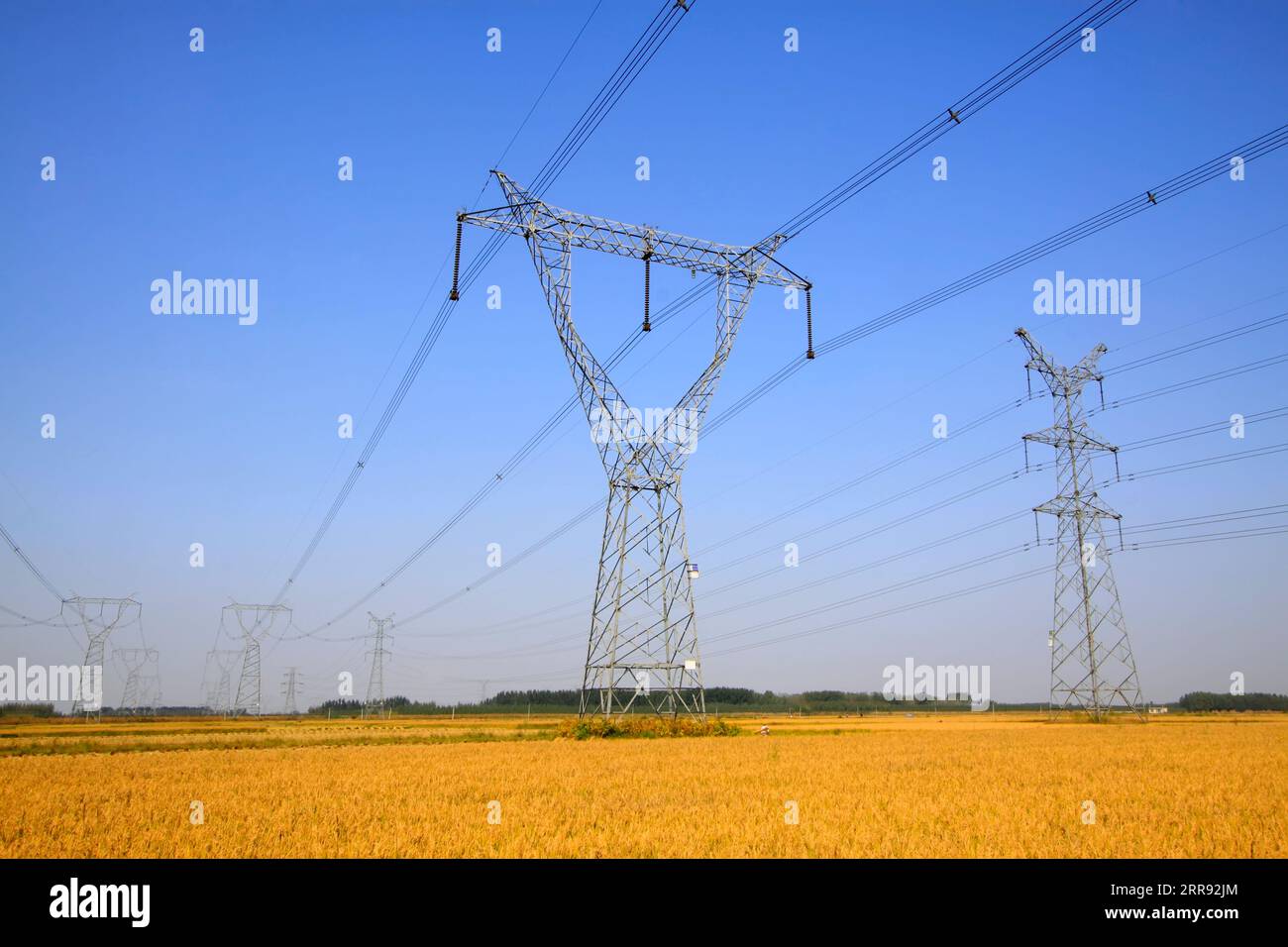 Rice tower hi-res stock photography and images - Alamy