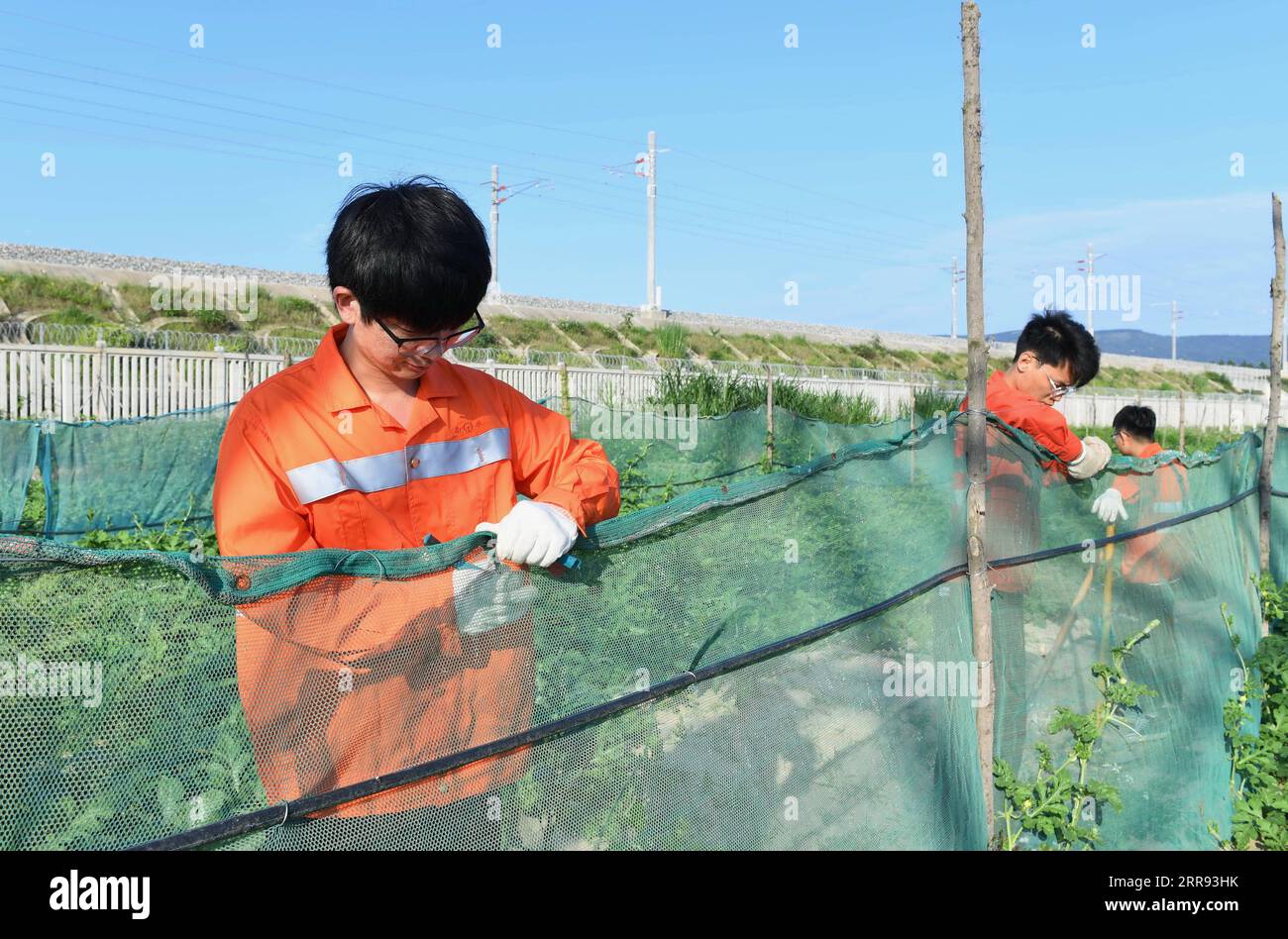 Drifting nets hi-res stock photography and images - Alamy